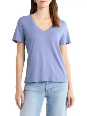 THE STANDARD STITCH Organic Cotton V-neck Tee - Steel Blue