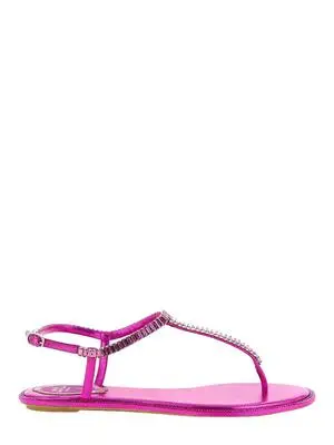 Rene Caovilla Diana Open-toe Leather Sandals - Pink