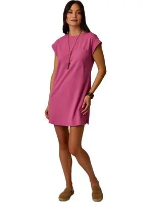 Carve Designs Cosmo Mini Dress Rouge