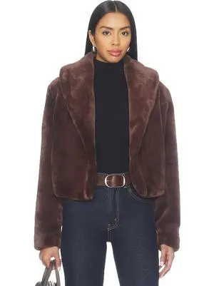 BLANKNYC Blanknyc Faux Fur Teddy Coat In Brown.