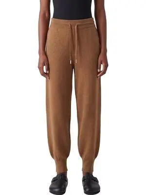 Brown (camel)