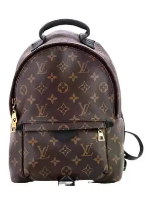 LOUIS VUITTON Palm Springs Monogram Canvas Pm Backpack - Brown