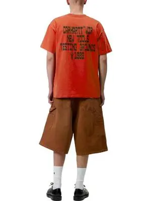 Carhartt Work In Progress Blocks T-shirt - Brown