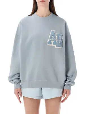ANINE BING Crewneck Sweatshirt - Dust