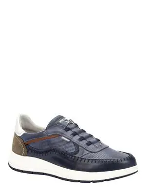 Pikolinos Salamanca Leather Sneaker - Blue