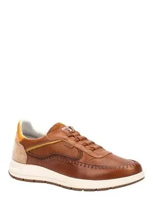 Pikolinos Salamanca Leather Sneaker - Cuero