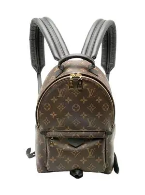 LOUIS VUITTON Monogram Palm Springs Pm Backpack 2010-2020 - Brown