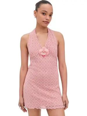 BAILEY ROSE Lace Halter Mini Dress