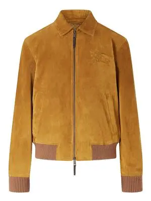 Burberry Logo-appliquéd Suede Harrington Jacket - Brown
