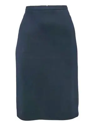 Max Mara Knit Midi Pencil Skirt - Blue