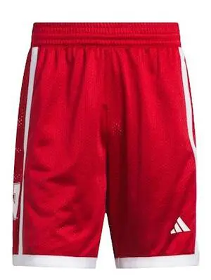 Adidas Swingman Shorts Nebraska Team Power Red White