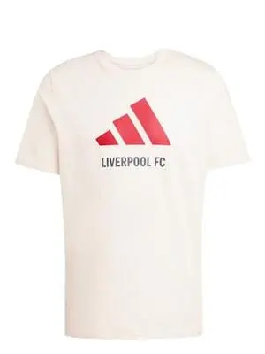 Adidas Liverpool Fc Seasonal Graphic Tee Shirt - Wonder White