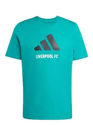 Adidas Liverpool Fc Seasonal Graphic Tee Shirt - Sea Green