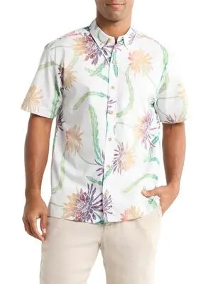 KAHALA Night Shades Print Cotton Short Sleeve Button-down Shirt - Off White