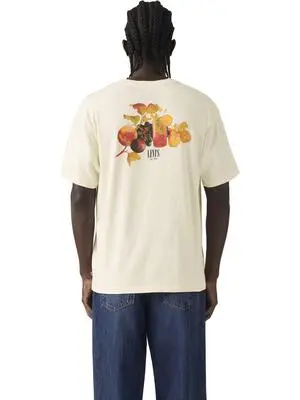 LEVI'S Vintage Fit Graphic T-shirt - Fruit Serif 1