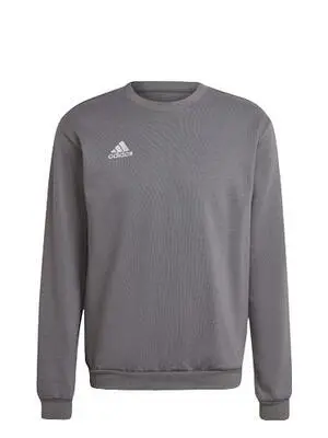 ADIDAS Entrada 22 Sweatshirt
