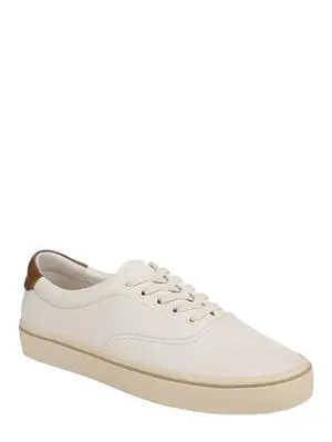 Vince Seaside Low Top Sneaker - Pebble White