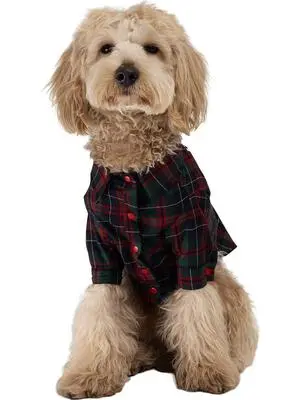 MOSHIQA Brad Dog Shirt