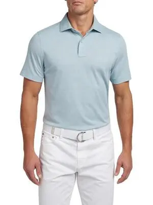 David Donahue Connery Cotton Polo Beach Glass