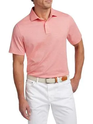 DAVID DONAHUE Connery Cotton Polo