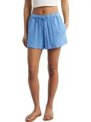 Rip Curl Premium Surf Holiday Shorts Cornflower Blue