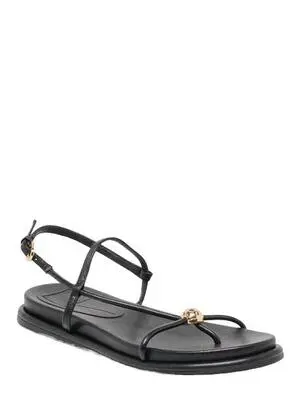 Dolce Vita Strappy Sandal Black Leather