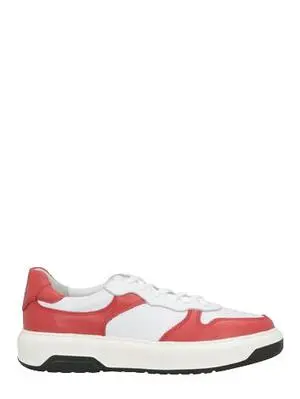 CERRUTI 1881 Cow Leather Sneakers - White