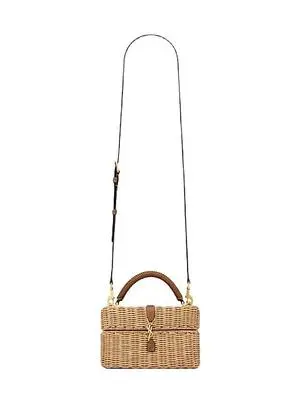 Saint Laurent Gaby Vanity Bag - Natural And Brick