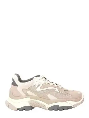 Ash Addict Lace-up Sneakers - Neutrals