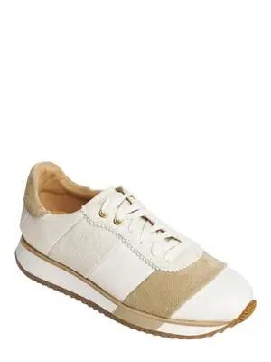 THE OFFICE OF US The Quinn Lace-up Sneakers - Biscotti