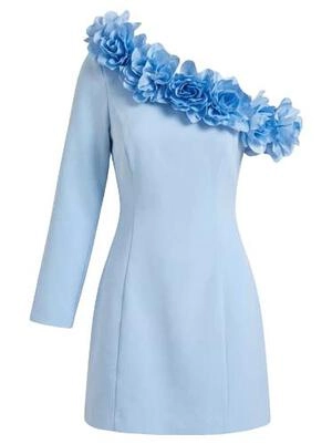 Coast 3d Floral One-shoulder Mini Dress - Blue