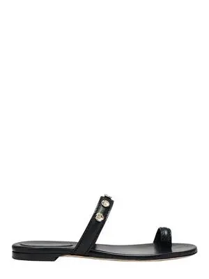 Scanlan Theodore Poppy Flat Sandal - Black