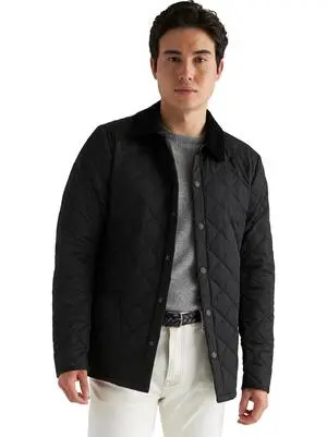 Quince Featherless Quilted Jacket Black