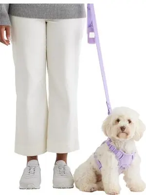 Quince Dog Harness Walk Kit - Lavender