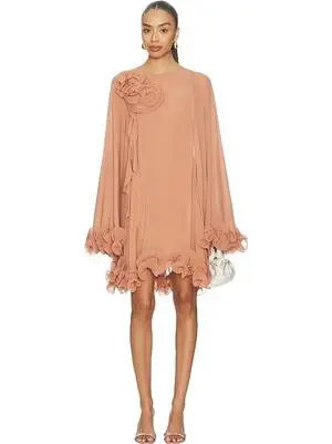 ANIYE RECORDS Gaby Babydolly Dress - Cookie
