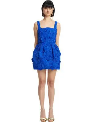 LEO LIN Piper Lace Mini Dress - Lapis