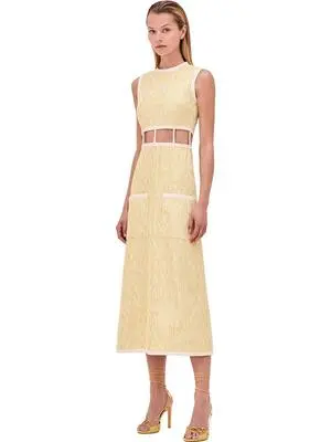 Alexis Renee Jacquard Midi Dress - Gold