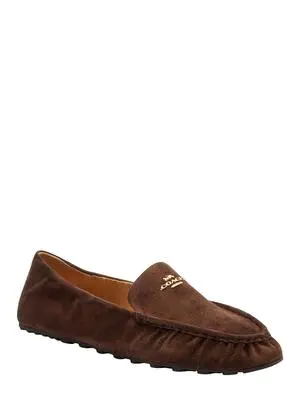 COACH Phoebe Soft Loafer Maple
