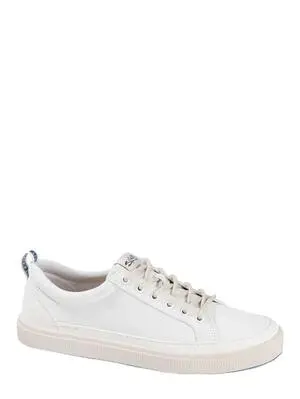 SALT LIFE The Coast Sneaker - White