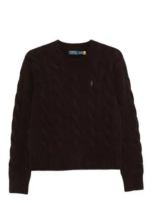 Polo Ralph Lauren Embroidered Logo Crewneck Sweater Brown