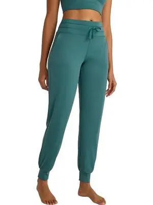 HAVEN WELL WITHIN Balance Drawstring Joggers - Oasis
