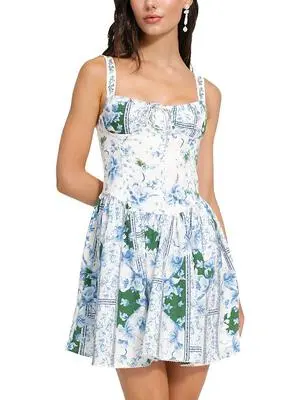 Agua Bendita Spring Ivy Mini Dress - Multi