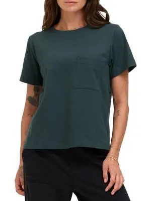 THREADS 4 THOUGHT Organic Cotton Crewneck T-shirt - Alpine