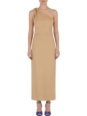 Elisabetta Franchi One-shoulder Embellished Maxi Dress - Brown