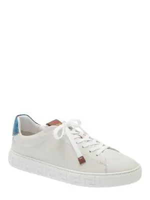Versace Greca Low Top Sneakers White Blue Rovere