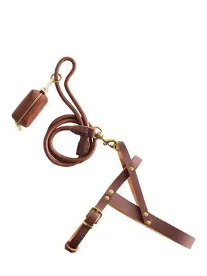 Quince Italian Leather Dog Harness Walk Kit - Brown