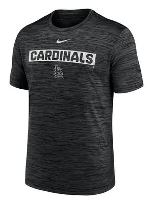 Nike St. Louis Cardinals Velocity Dri-fit Mlb T-shirt - Black