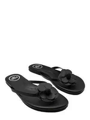 SOLEI SEA Valenta Flip-flop Sandals With Floral Embellishment - Black