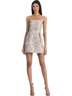 ALICE + OLIVIA Alice + Olivia Strapless Embroidered Jacquard Babydoll Dress