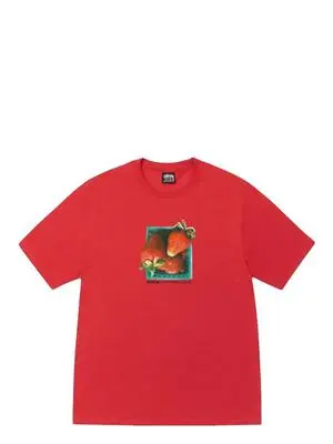 StÜssy Berries T-shirt - Cayenne